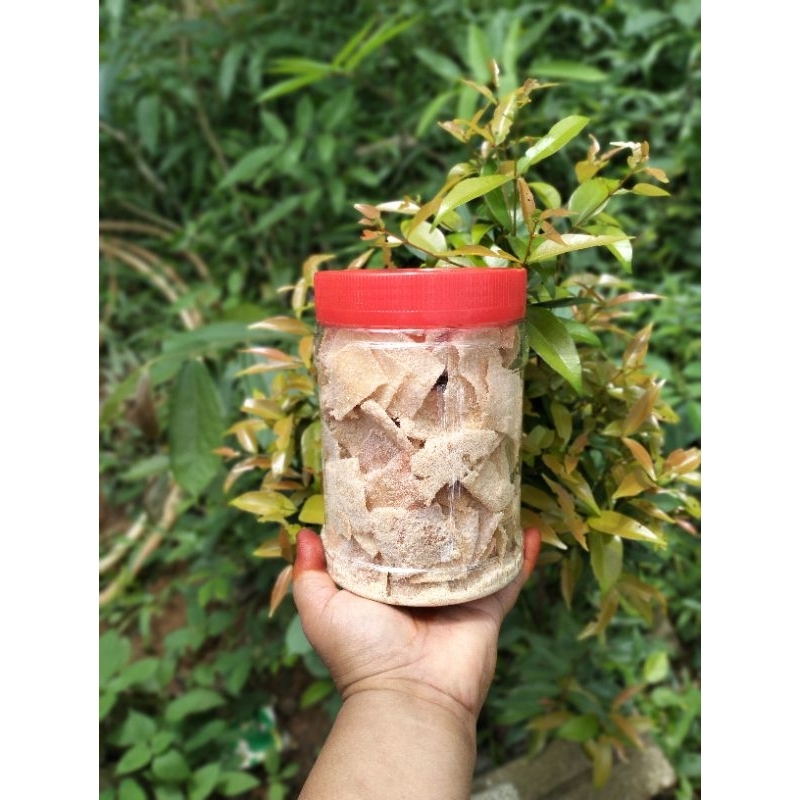 popia nestum susu homemade | Shopee Malaysia