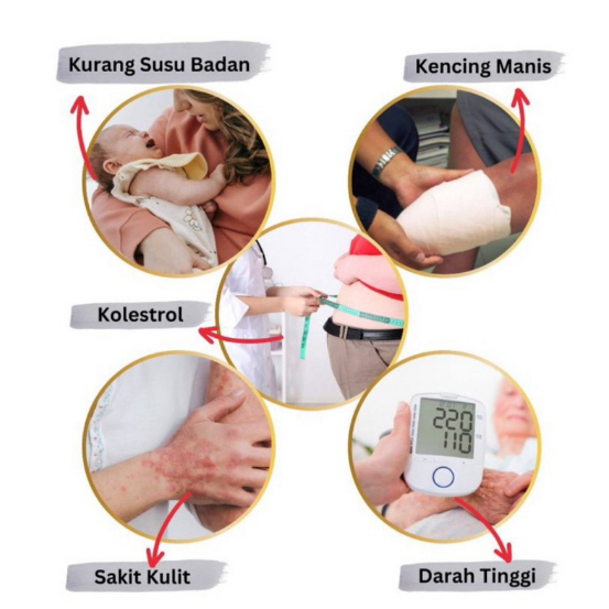 Moringa Al-insyirah Daun Moringa Oleifera Ubat Gout Darah Tinggi ...