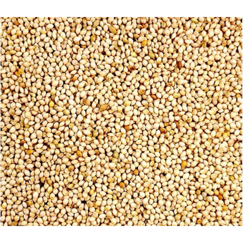 Sambau putih /White millet (100g/200g/300g/500g) | Shopee Malaysia