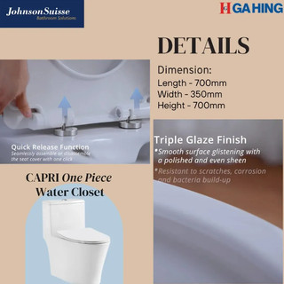 Johnson Suisse Capri Rimless One Piece Water Closet S trap 290mm/Jamban ...