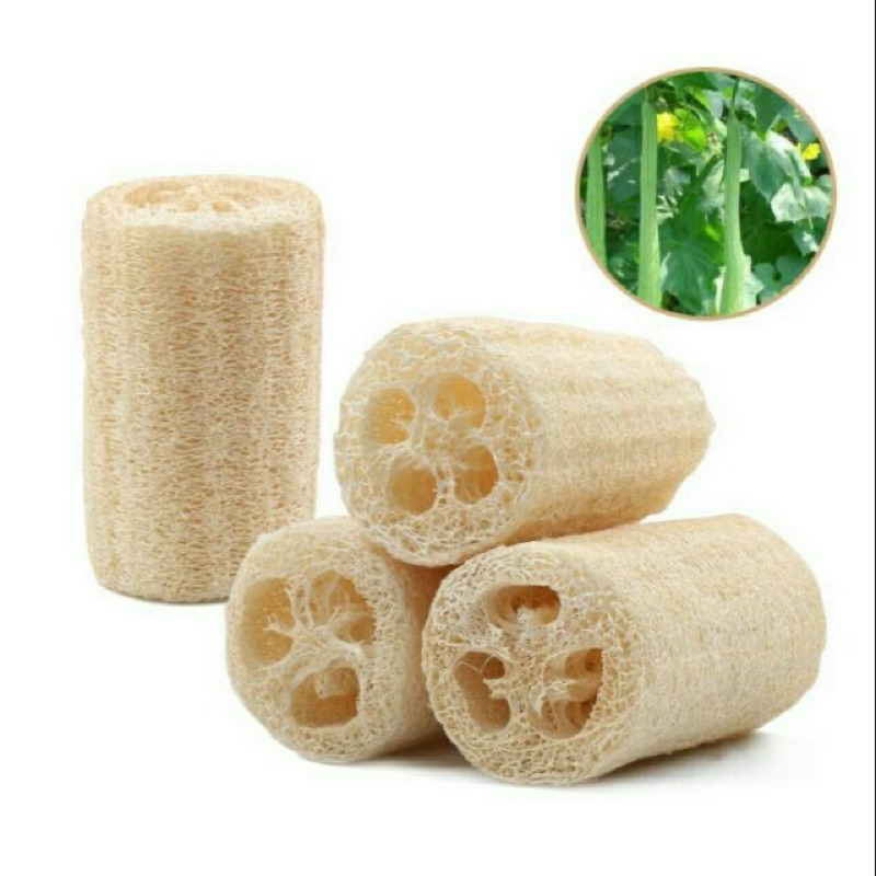 Natural Body Scrub (unbleach loofah) | Shopee Malaysia