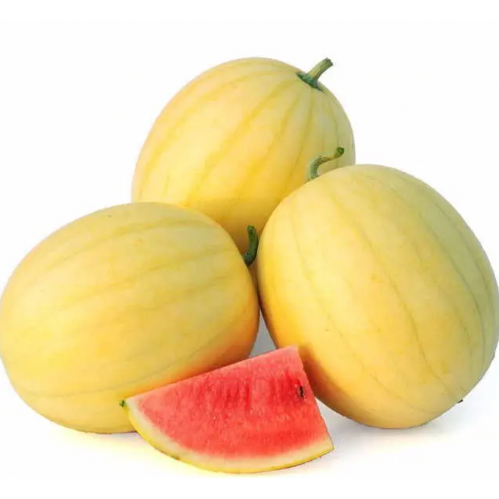 Biji BENIH TEMBIKAI MADU EMAS KULIT ISI KUNING Golden Midget Watermelon ...