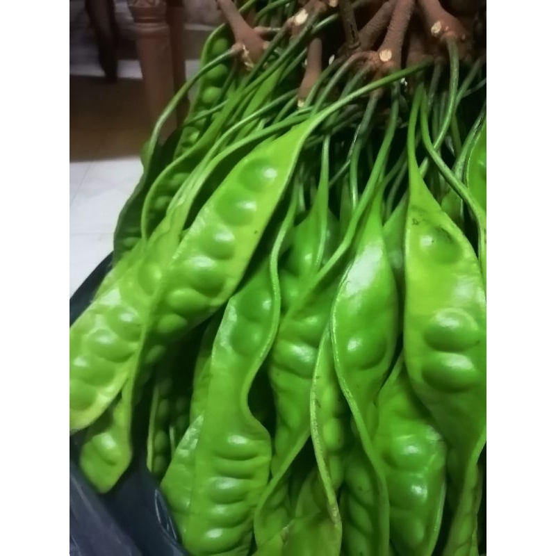 petai padi jeruk 7 keping rm15 | Shopee Malaysia