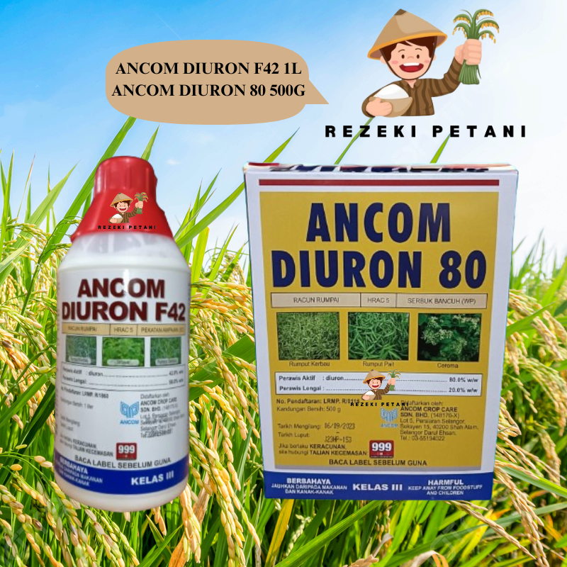 [ORIGINAL] 1L ANCOM DIURON F42 500G ANCOM DIURON 80 Racun Rumput Sambau ...