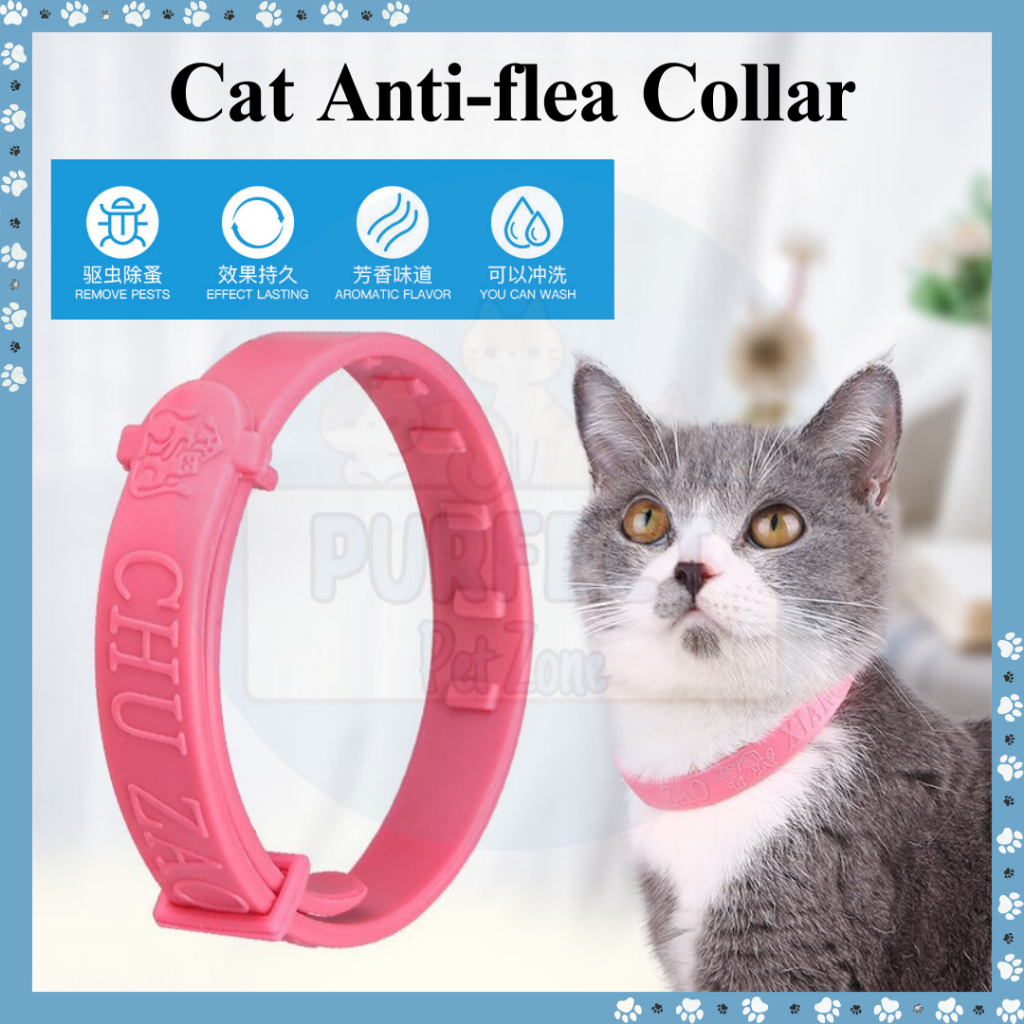 Purfect Pet Zone Anti Flea Tick Kutu Mite Cat Kucing Protection Collar ...