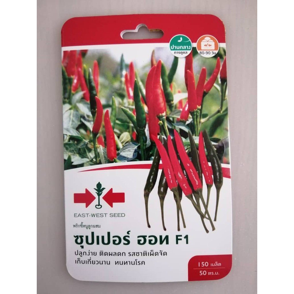 EAST WEST SEED Benih Cili Padi / Super Hot Hybrid Chili F1 [150 seeds ...