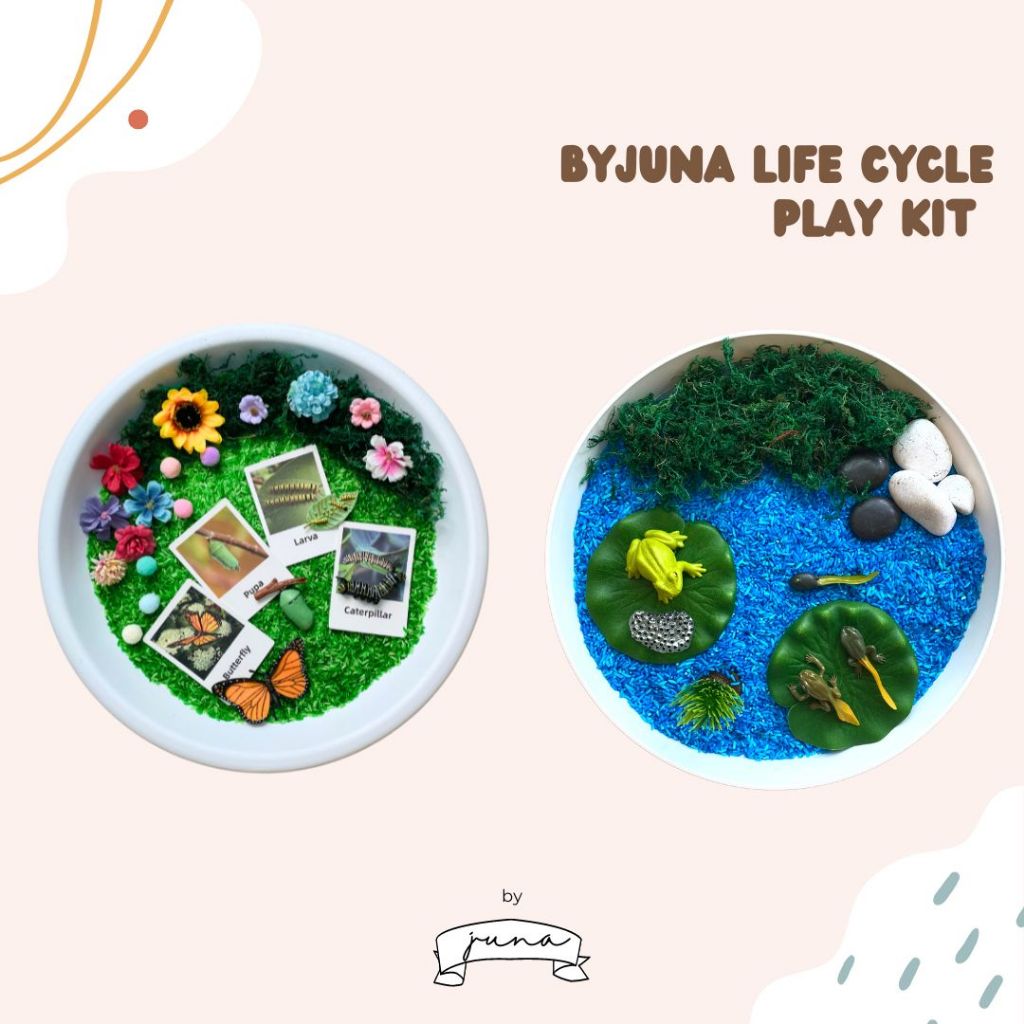 byJuna Life Cycle Play Kit - Frog / Butterfly / Bees / Sensory Bin ...