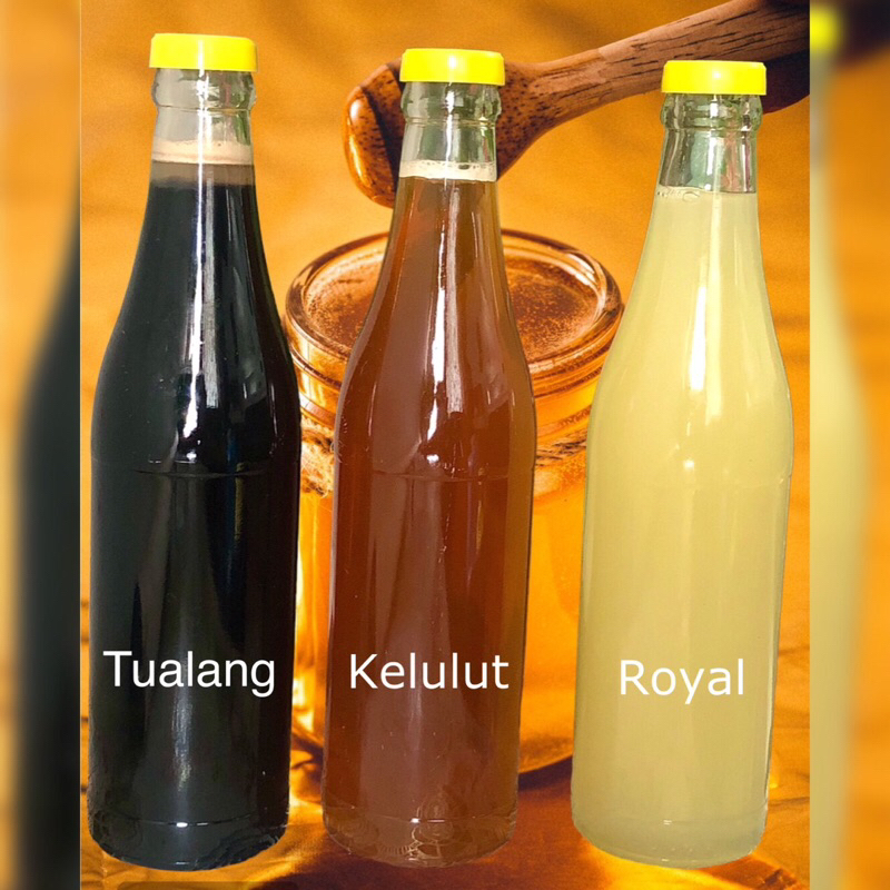 Madu Asli Kelulut/ Tualang/ Madu kelulut Original 500ML 1Kg | Shopee ...