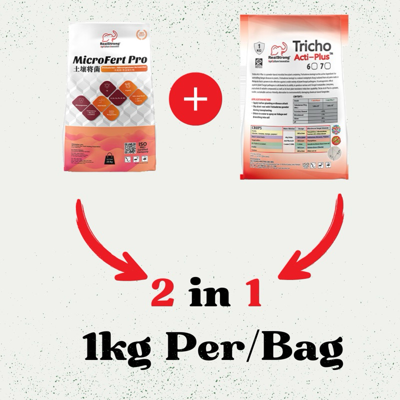 MicroFert Pro Baja Trichoderma Penyakit Panama Penyakit reput pangkal ...