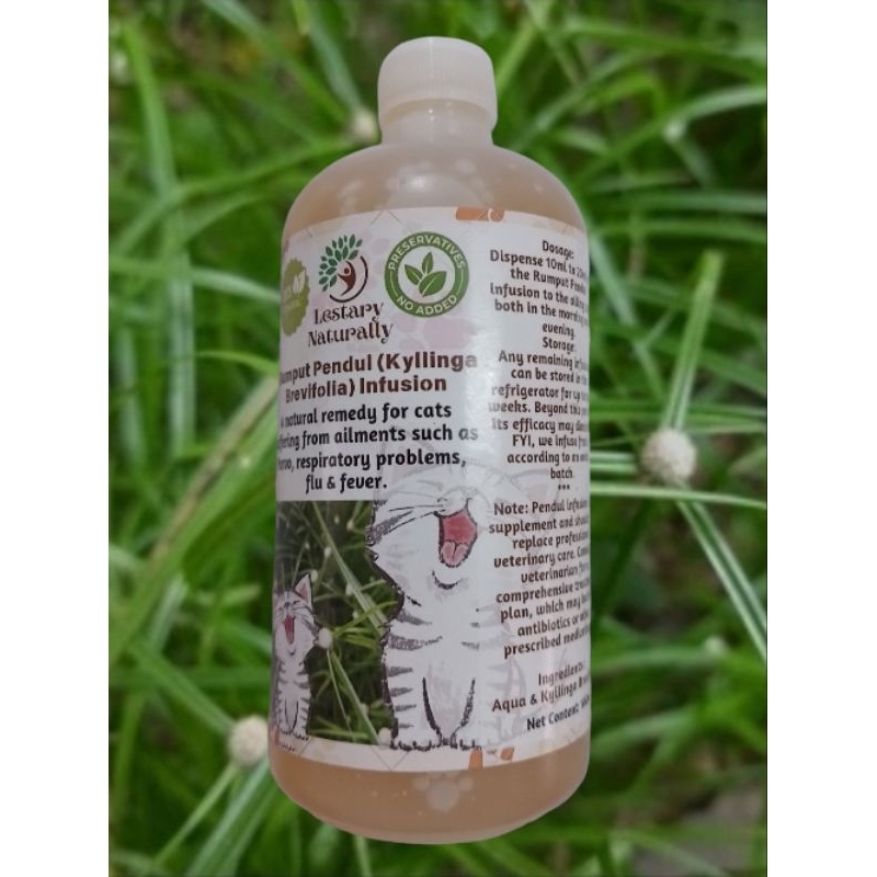 Herba Supplements untuk Kucing Parvo dll (Rumput Pendul (Kyllinga ...