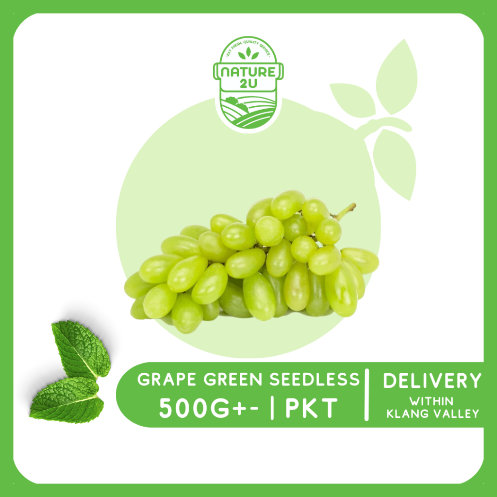 Nature2U Fresh Fruit - Green Seedless Grape / Anggur Hijau / 无籽青葡萄 ...
