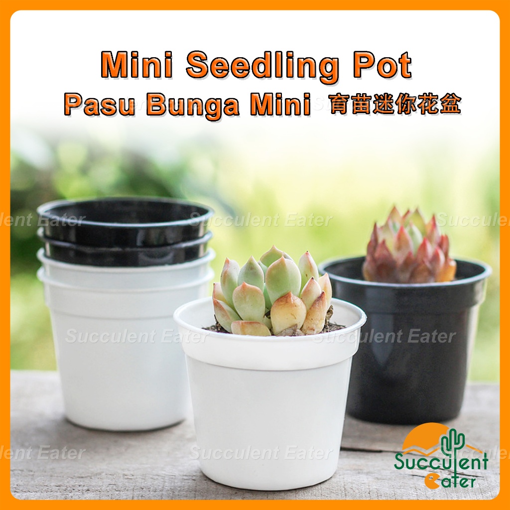 Pasu Bunga MIni Mini Seedling Pot Succulent and Cactus Round Plastic ...