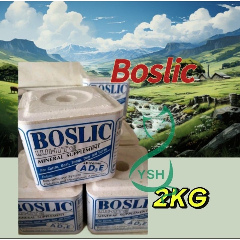 Boslic White Mineral Supplement Garam Jilat Lembu / Kambing/ Kuda 2Kg ...