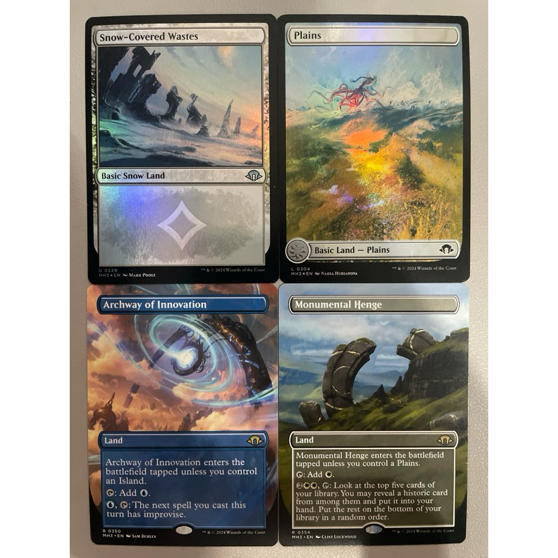 MTG:Modern Horizons 3 (MH3) Foil Land Card (Full art, Borderless ...