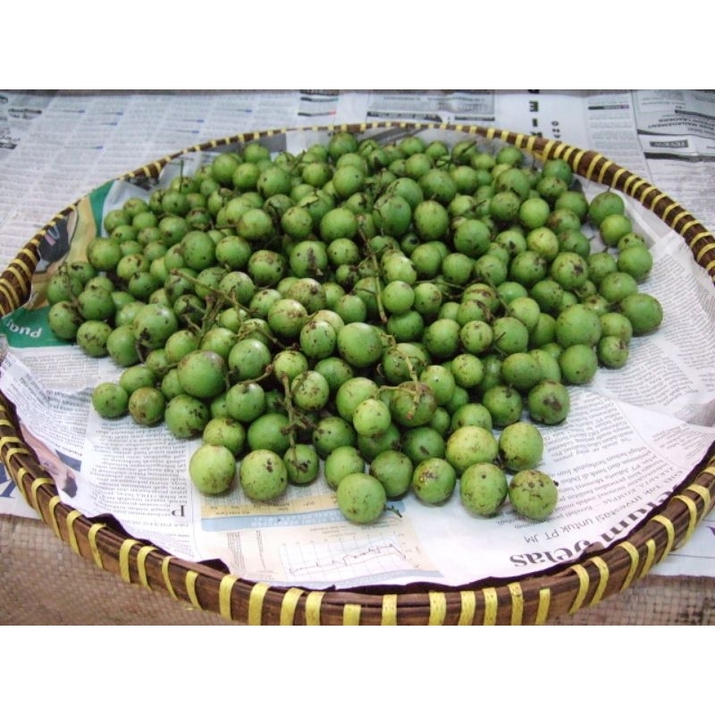 1kg Buah Star / 1kg Buah Setar / 1kg Buah Kundang Putik / 1kg Buah ...