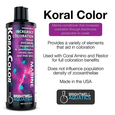 Brightwell Koral color / Koralcolor 250ml/500ml [Encourages Increased ...