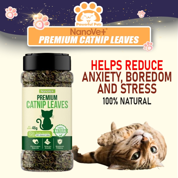 PAWERFUL [Nanovet Premium Catnip Leaves] Cat Mint Pokok Galak Kucing ...
