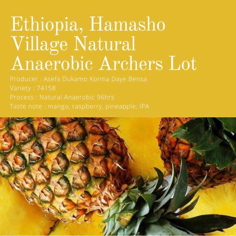 SINGLE DOSE COFFEE - Ethiopia, Hamasho Village Natural Anaerobic ...