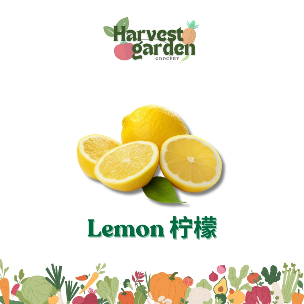 Fresh Lemon 柠檬 1PCS | Shopee Malaysia