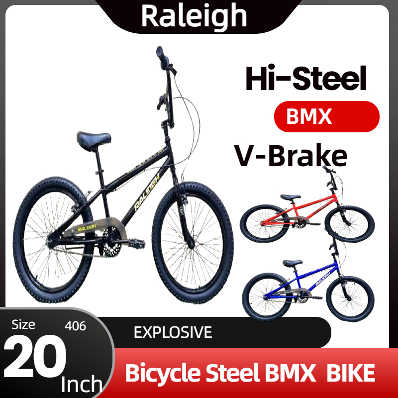 Raleigh 20 Hi-Steel Bmx Bike (Explosive) | Shopee Malaysia