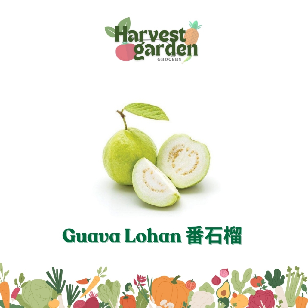 Fresh Sekinchan Guava Lohan // Jambu Batu 适耕桩番石榴 (500G+/- or 1KG ...
