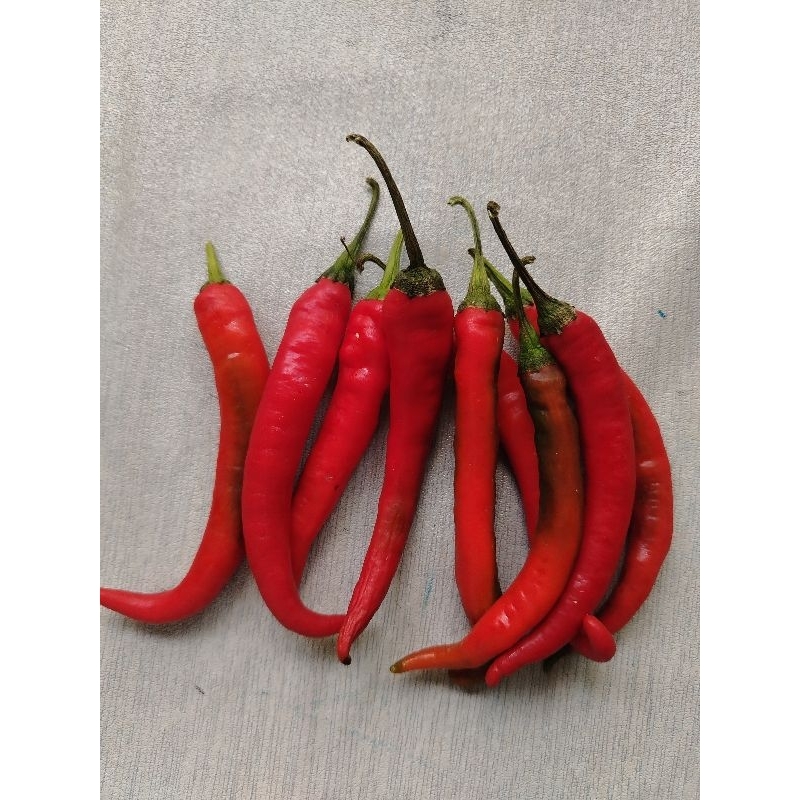 cili hidup/ cili besar merah 15 biji | Shopee Malaysia