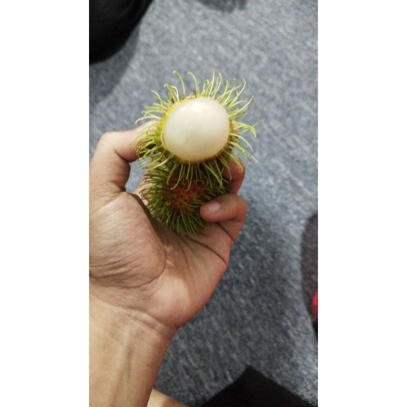 RAMBUTAN ANAK SEKOLAH (1KG) | Shopee Malaysia