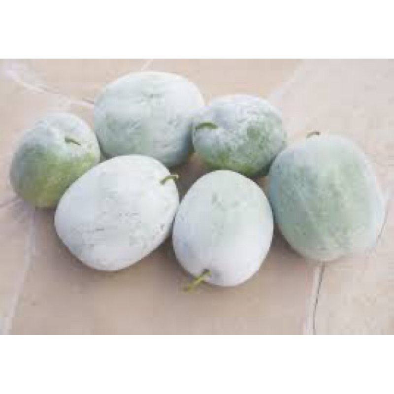 1biji buah kundur sedap buah jus/masak sayur air/sayur lemak | Shopee ...