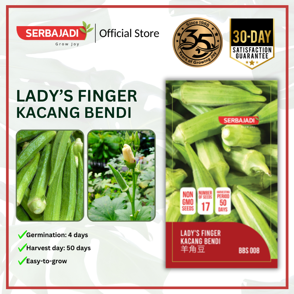 Biji Benih Sayur Kacang Bendi - Vegetable Seed Lady's Finger SERBAJADI ...