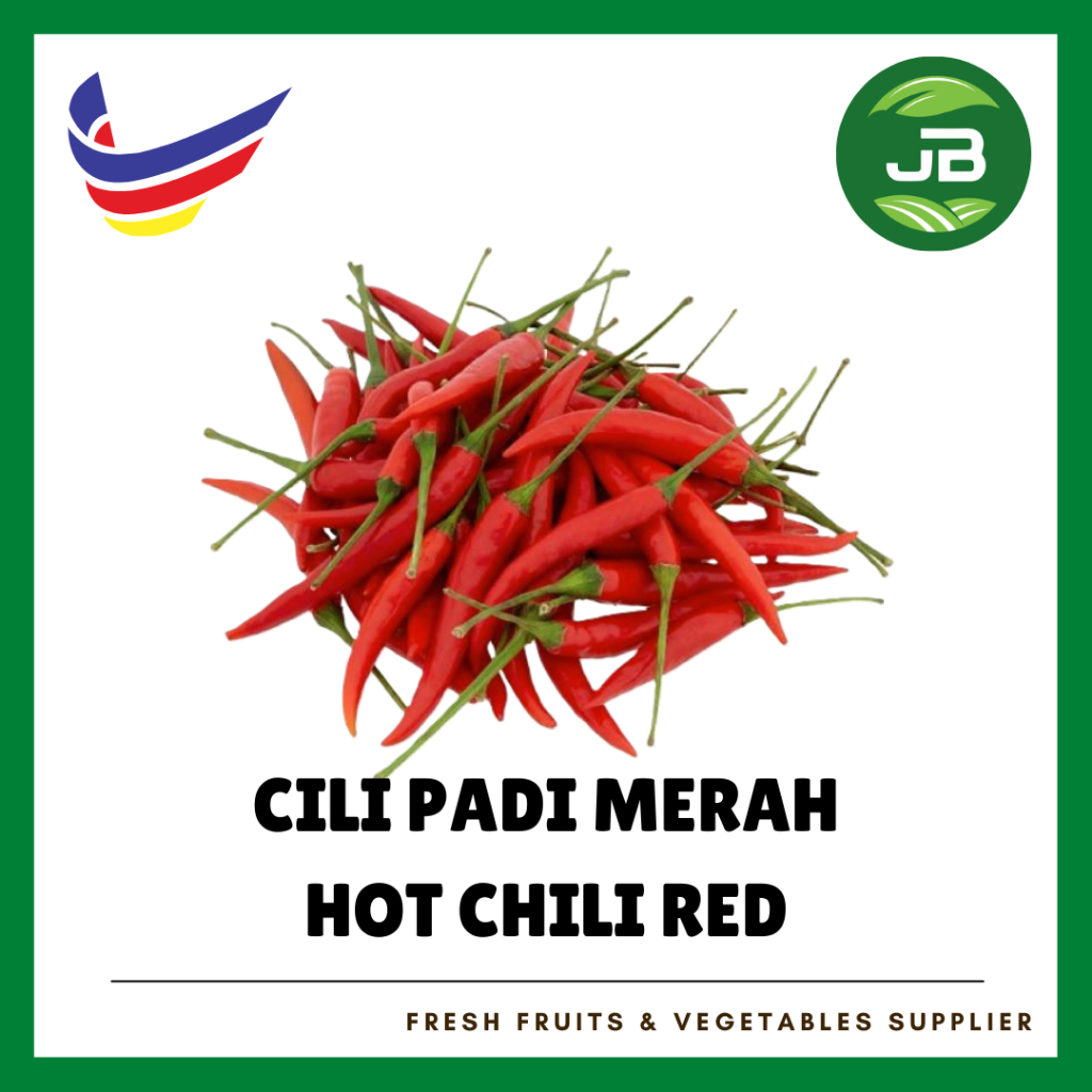Cili Api Merah 泰国红辣椒 100g+/- Hot Chili - Thailand | Shopee Malaysia