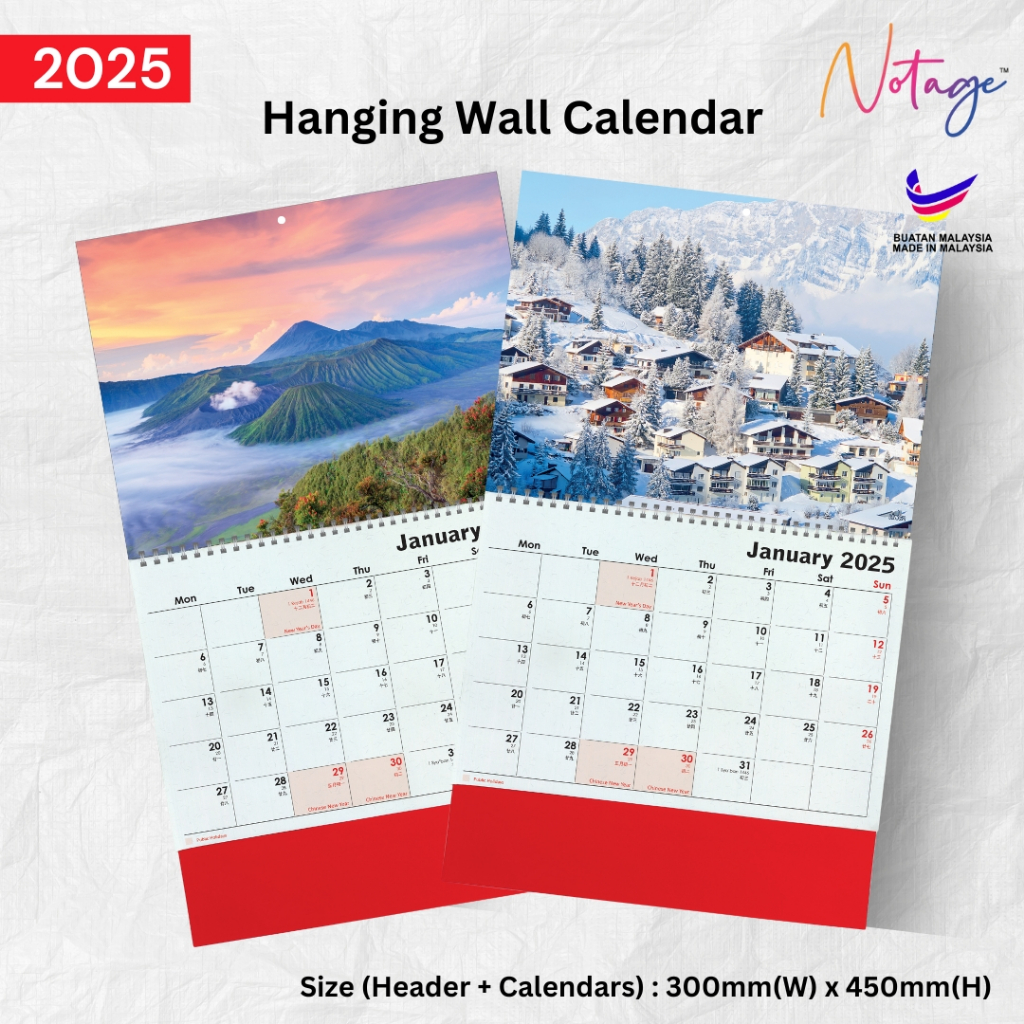 Large Hanging Wall Calendar 2025 Hand Tear Wire-O Kalendar Large ...