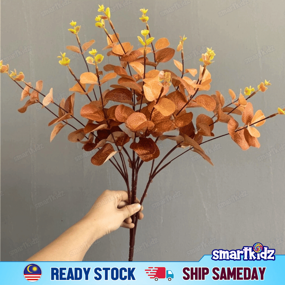 [1stalk] 16 Heads Eucalyptus Money Leaf | Duit Daun Hiasan Rumah ...