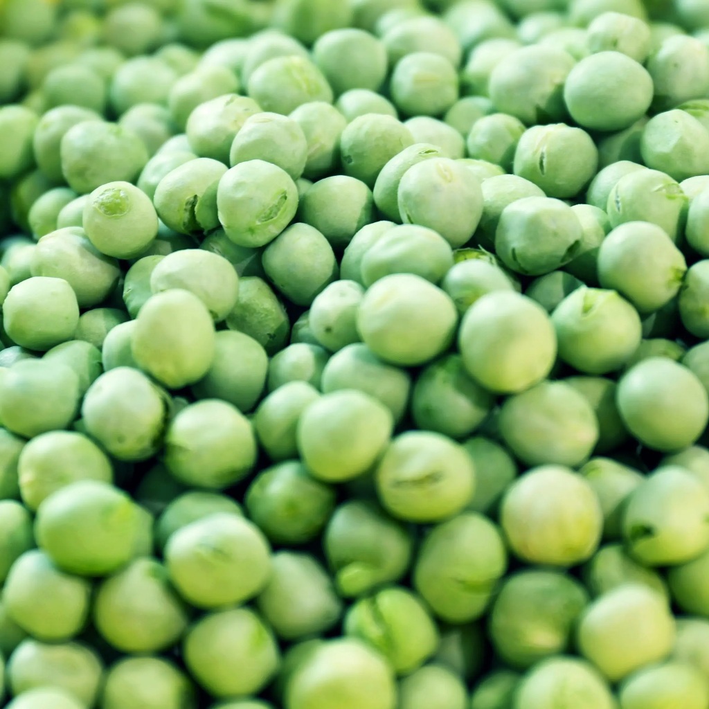 Kacang Pis Hijau Dried Green Peas 100g | Shopee Malaysia