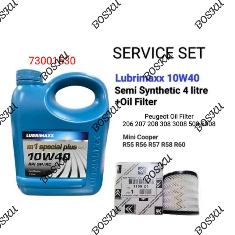 PEUGEOT 206 207 208 308 3008 508 5008 ((Oil Filter (1109-Z1) +Lubrimaxx ...