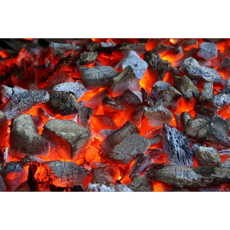 Arang Biochar untuk BBQ, Charcoal Biochar for BBQ | Shopee Malaysia