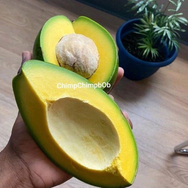 +1Kg AVOCADO CAMERON HIGHLAND Organic Creamy Fresh Jumbo & Healthy ...