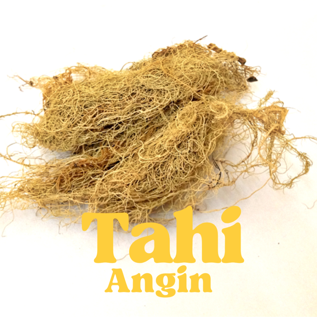 Akar Tahi Angin Herba 50g | Shopee Malaysia