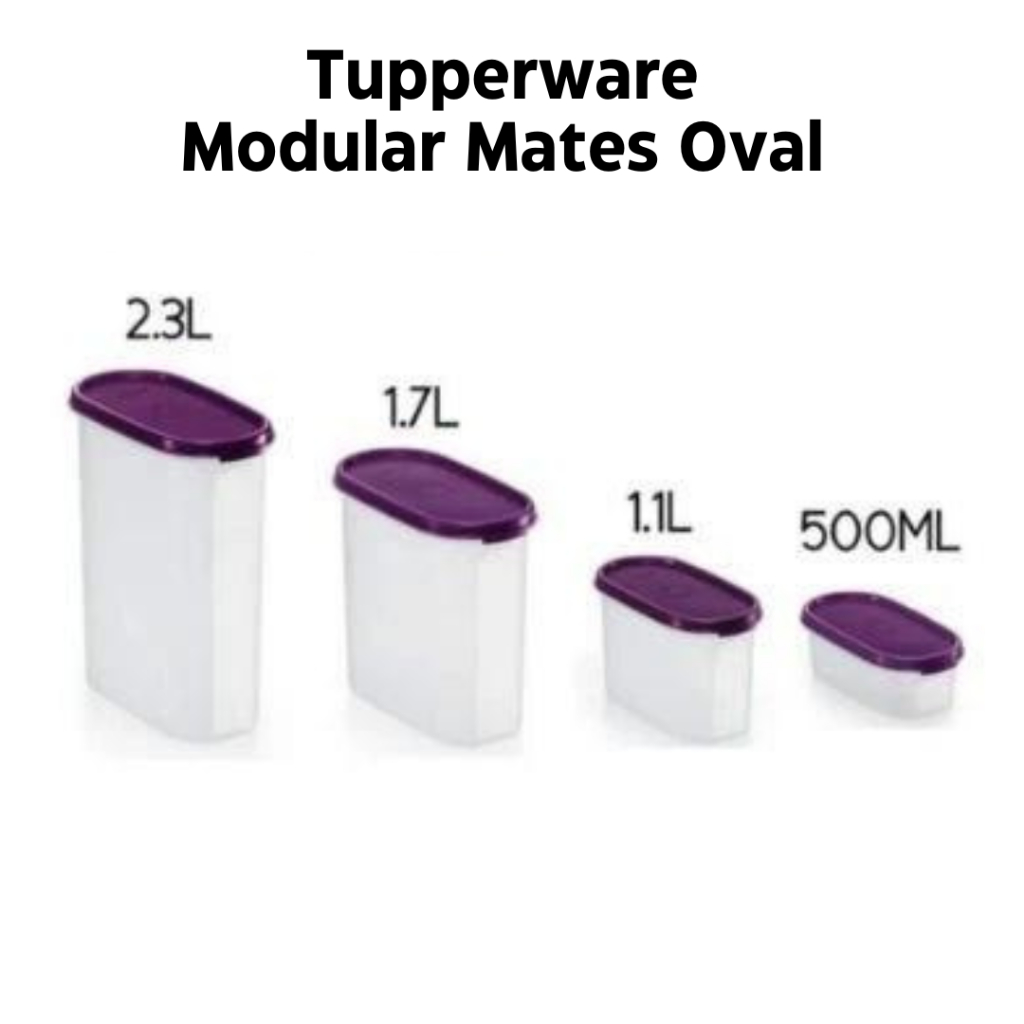 Tupperware Modular Mate Oval (1 pc) | Shopee Malaysia