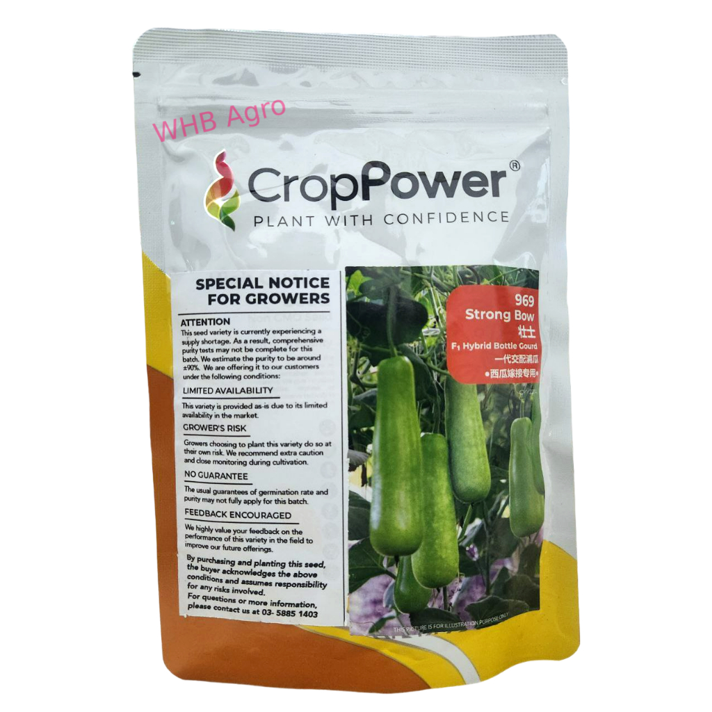 Benih Labu Air 969 Strong Bow F1 Hybrid Bottle Gourd Crop Power ...