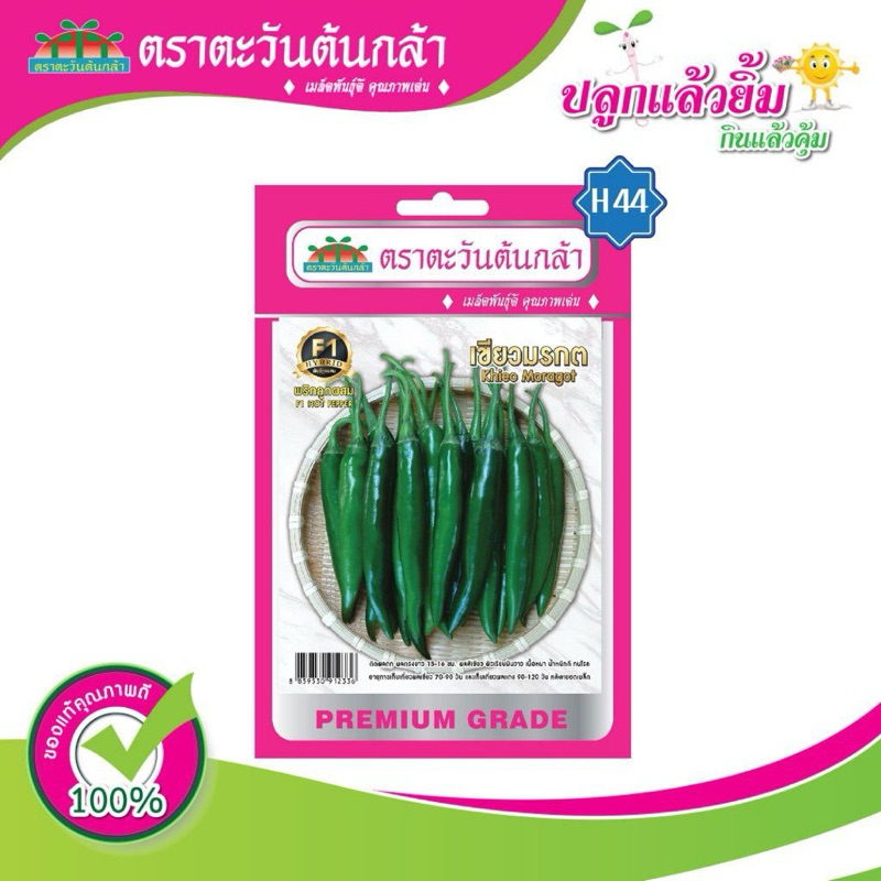 0.3g Benih Cili Kulai F1 Hybrid / Cili Khieo Moragot F1 Hybrid / Lada ...