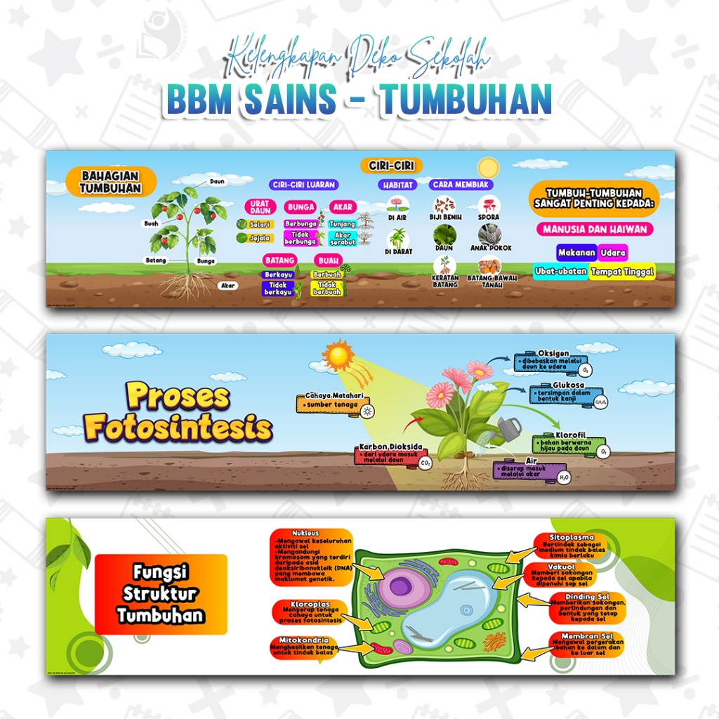 🌼1 DAY SHIP🌼 BANNER BBM SAINS - INFO TUMBUHAN / DEKORASI DINDING ...