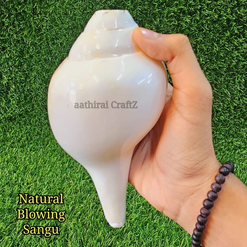 Blowing Sangu / Shankh | Shopee Malaysia