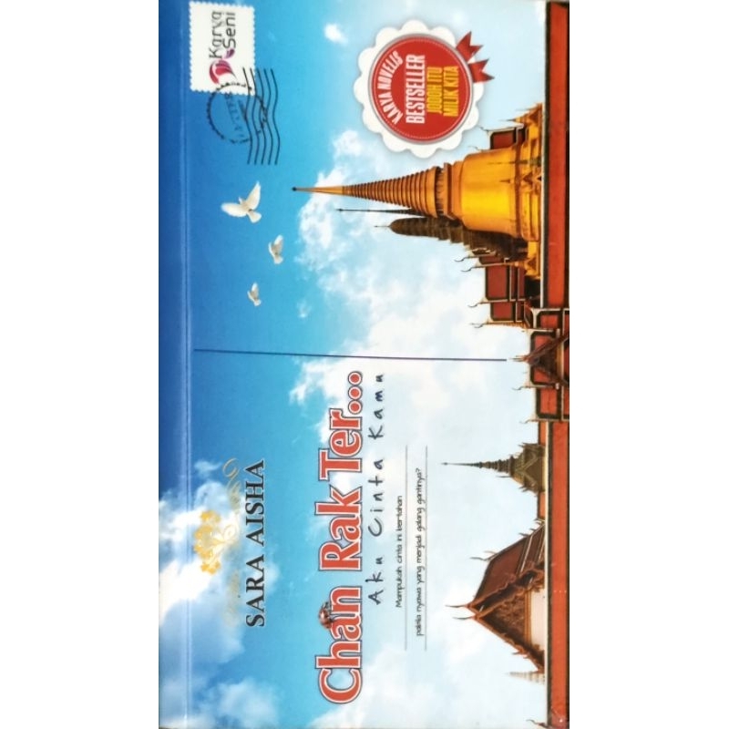 Novel Sara Aisha Chan Rak Ter Terpakai | Shopee Malaysia