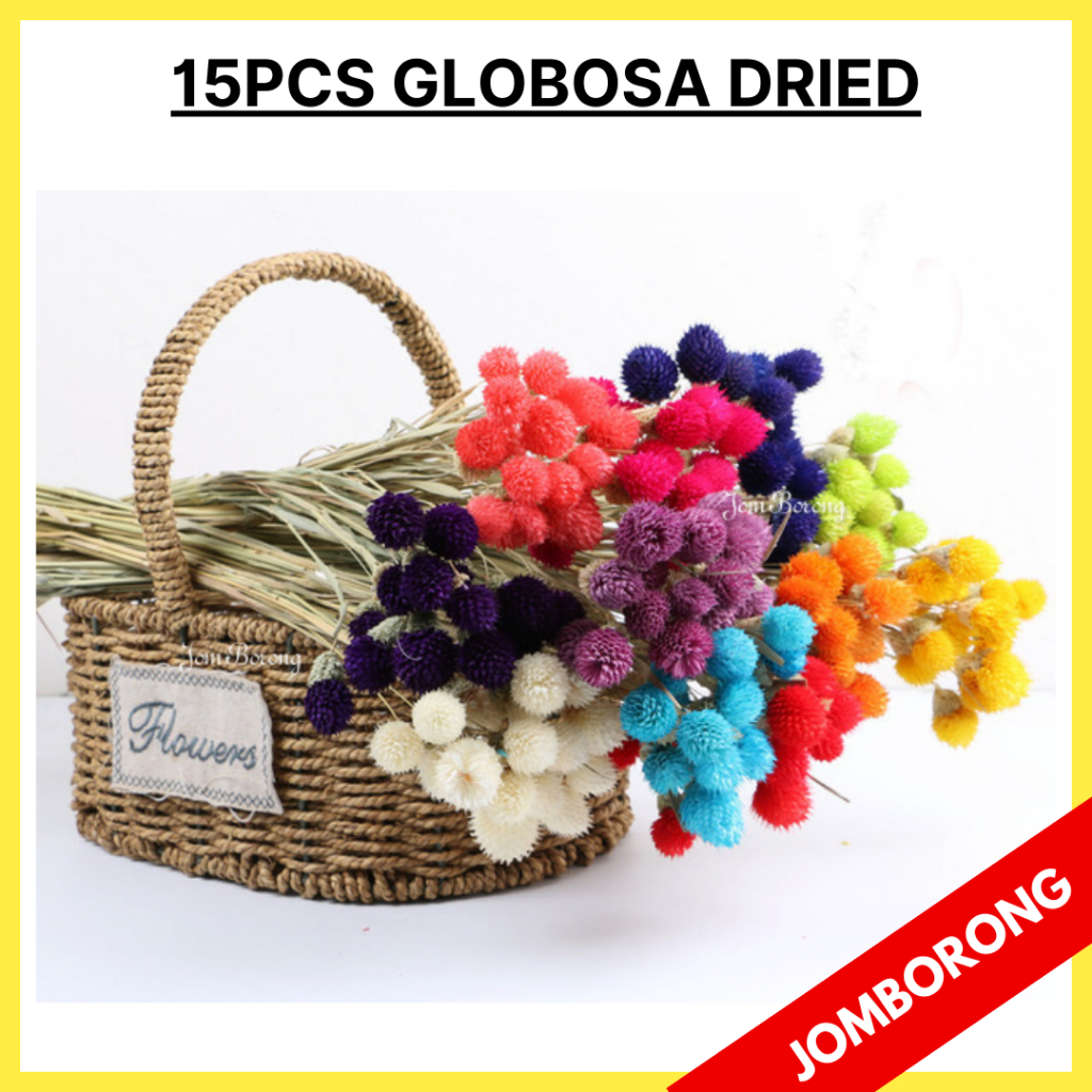 (15PCS) GLOBOSA GLOBOSE GOMPHRENA AMARANTH Bunga Butang Dry Natural ...
