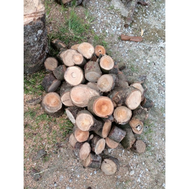 kayu api camping kayu rambutan 2KG(potong dadu/cube) | Shopee Malaysia