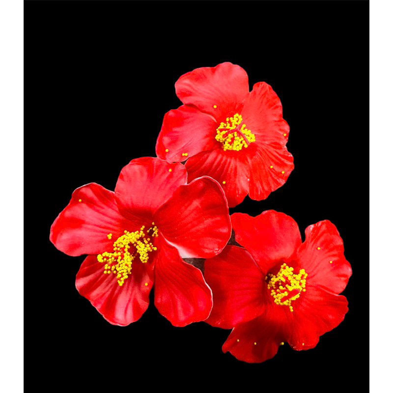 Bunga Raya Untuk cekak or aksesories tambahan | Shopee Malaysia