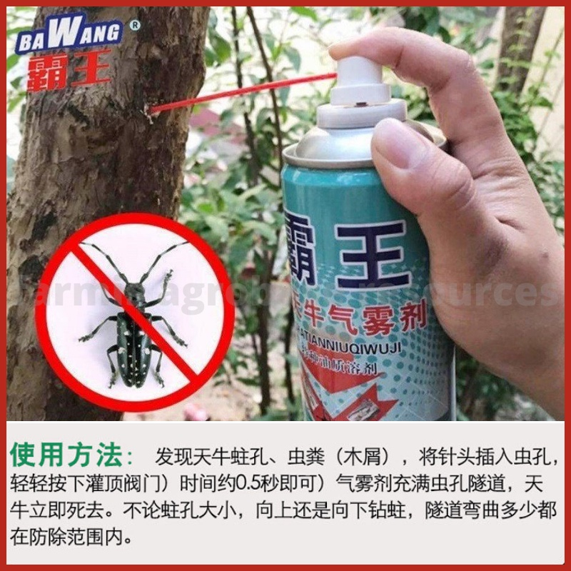 Sprayer Racun Ulat Kumbang Pengorek Batang Pokok 霸王天牛钻心虫蛀心虫杀虫剂克星雾剂 serangga pengorek racun ...