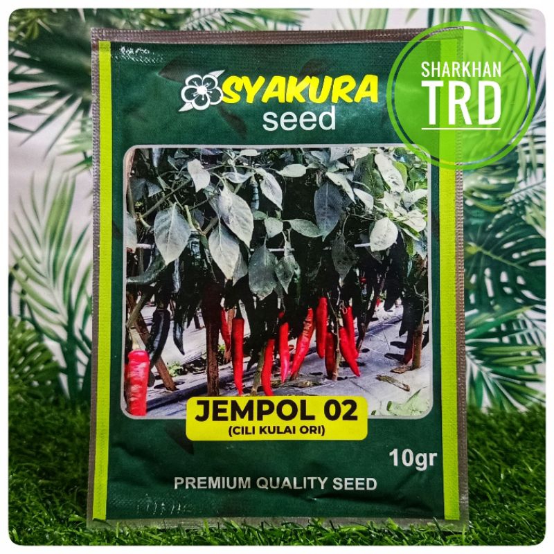 Paket 10g JEMPOL 02 Syakura Seed Biji Benih Cili Cabe Besar Kulai ...