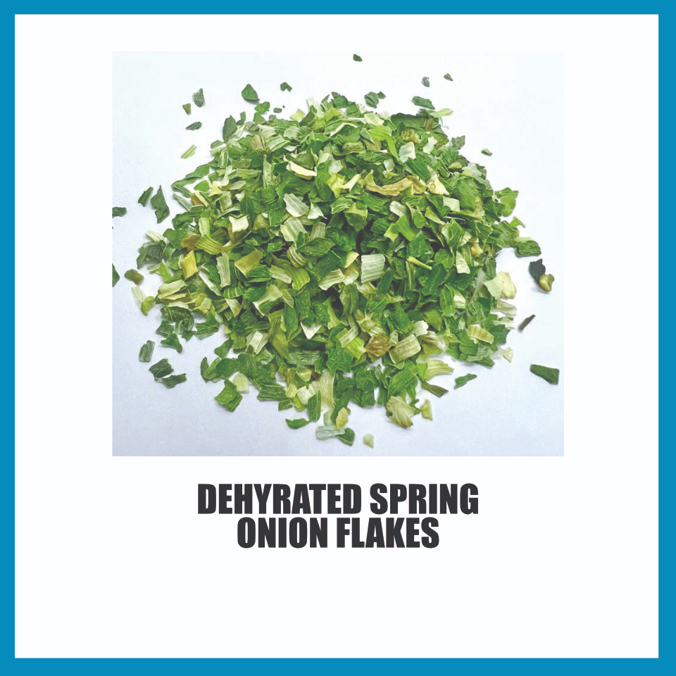 100G/250G DRIED SPRING ONION FLAKES | 干葱 | Shopee Malaysia