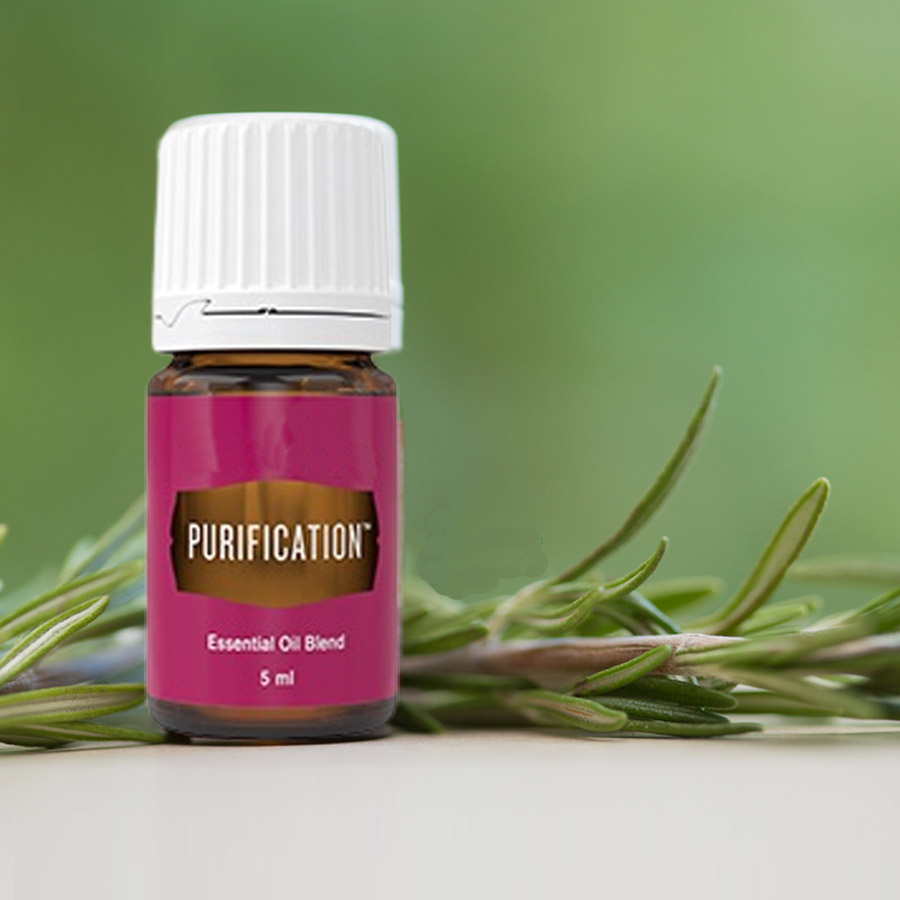 (Clear Stock) Purification Essential Oil (5mlx1) (5mlx3) (5mlx6) Young ...